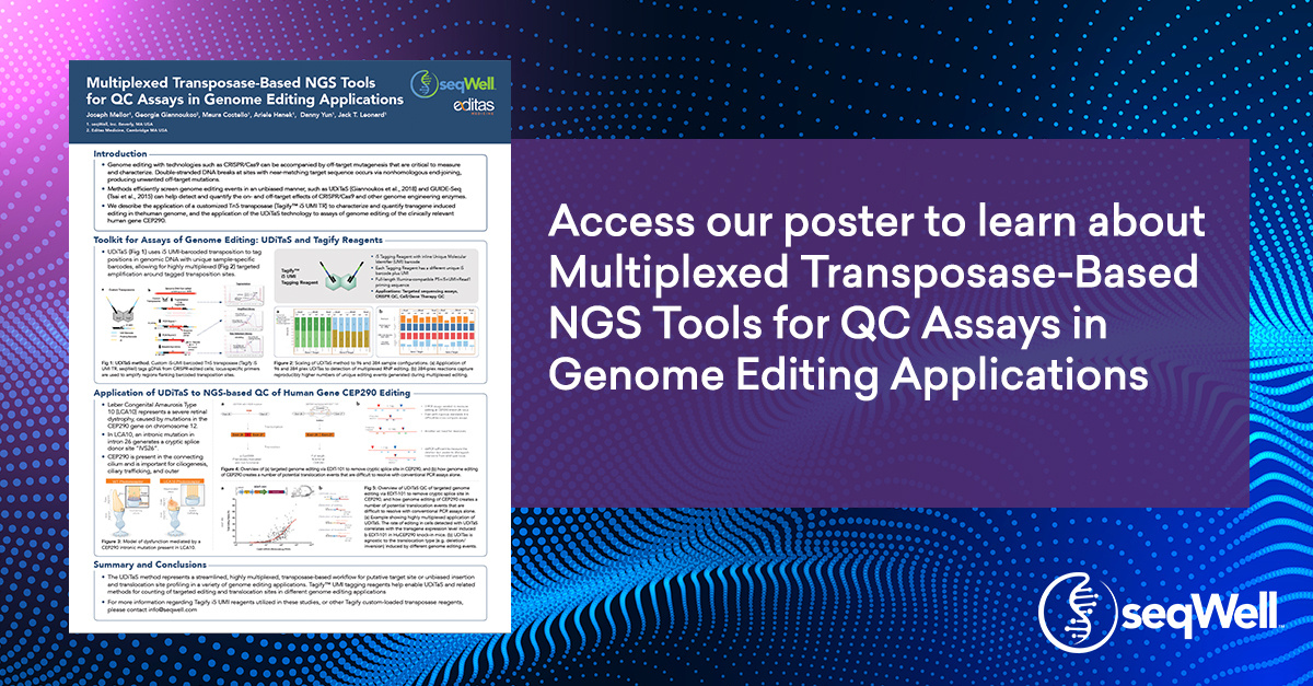 Tagify Launch Promo – 2024